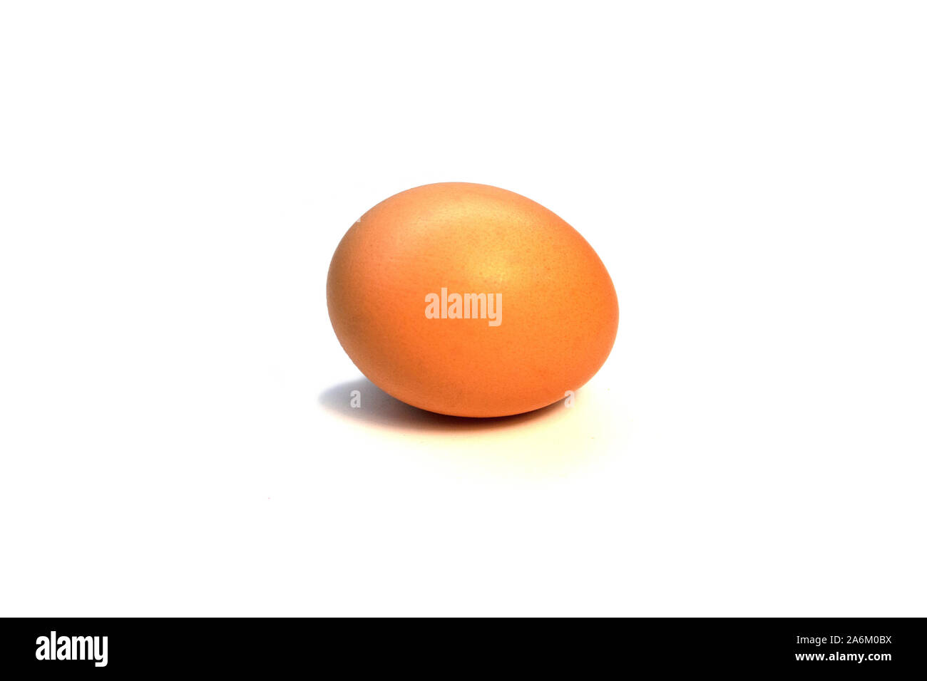 One chicken egg on Cut Out Stock Images & Pictures - Alamy