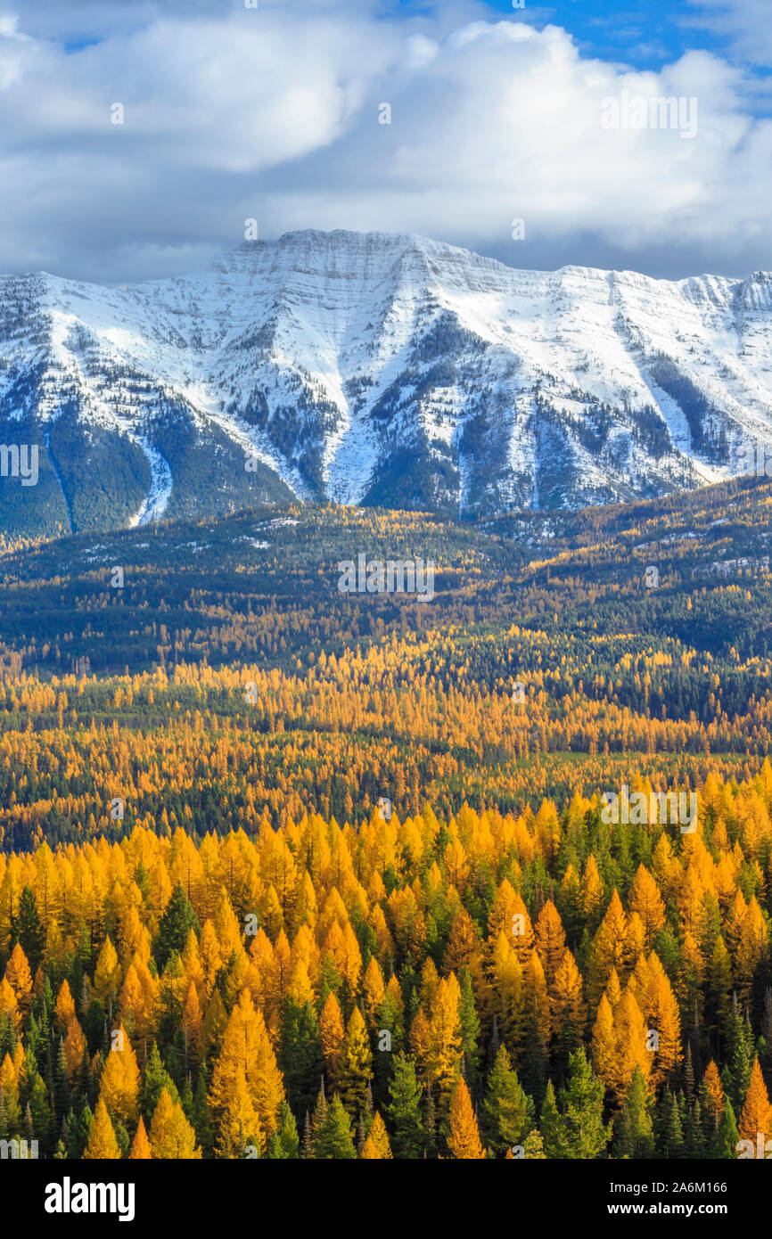 Mt d5643 hi-res stock photography and images - Alamy