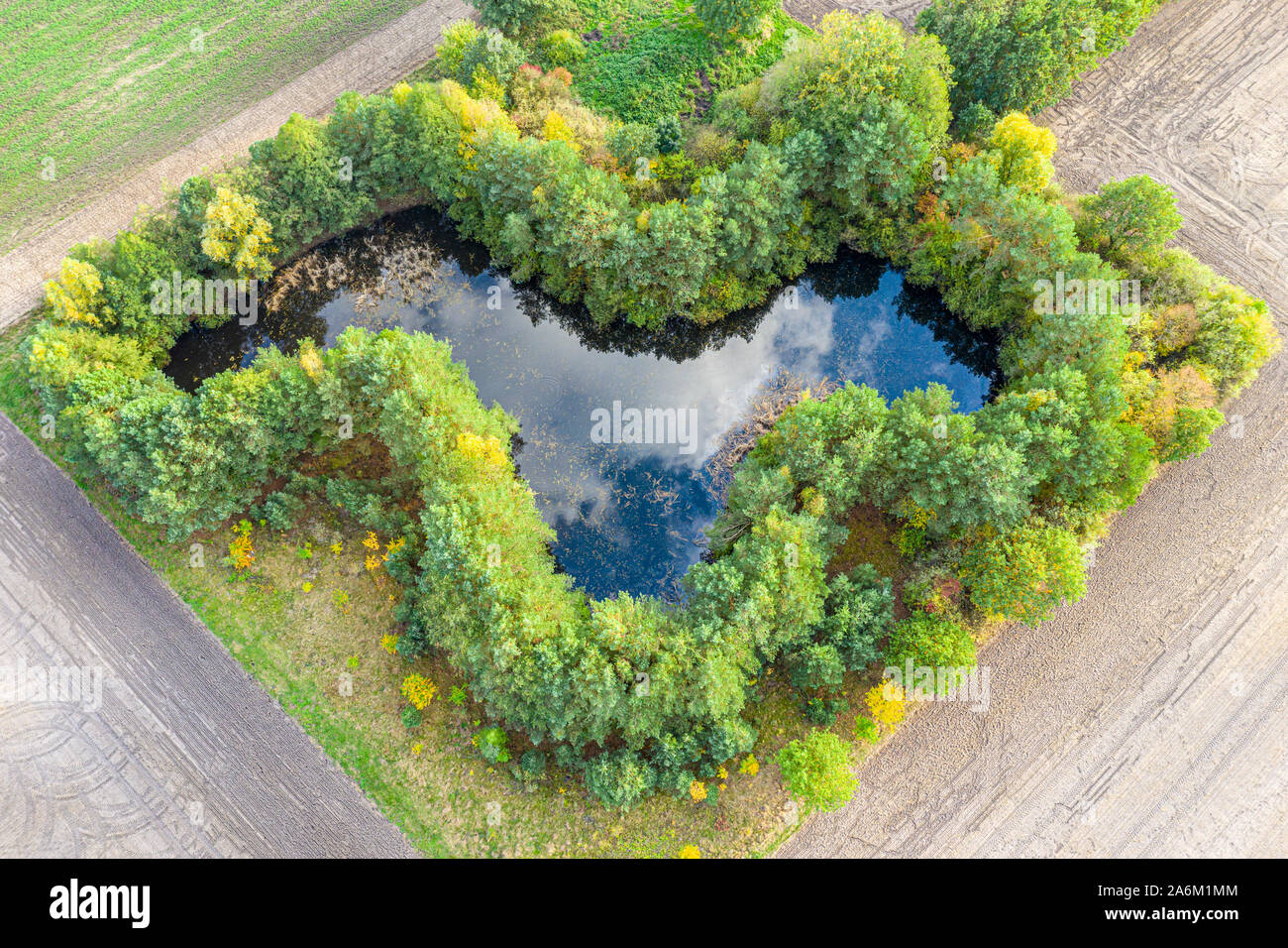 Small pond on farmland, surrounded by bushes, near Celle, Germany Stock ...
