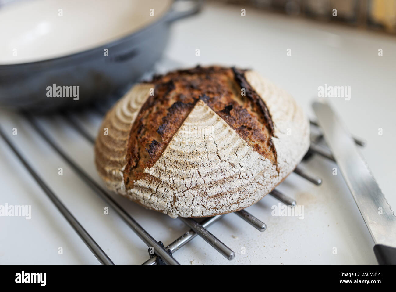 Freshly baked home made bread on a cooling rake on kitchen counter with ...