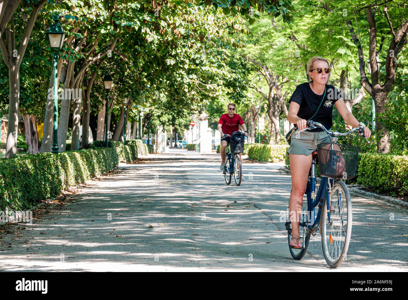 Real tree hi-res stock photography and images - Alamy