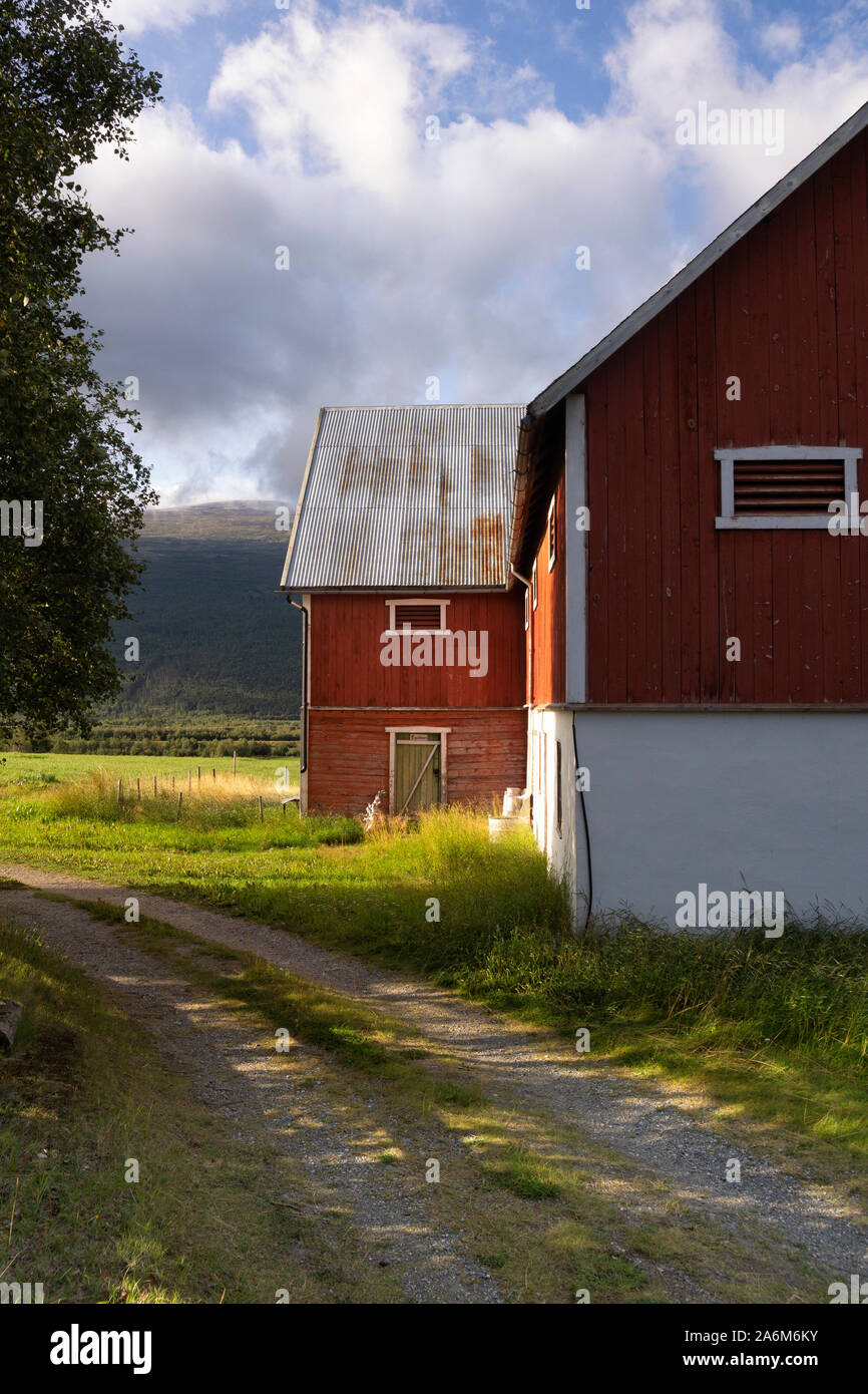 Falured shed in Norway Stock Photo - Alamy