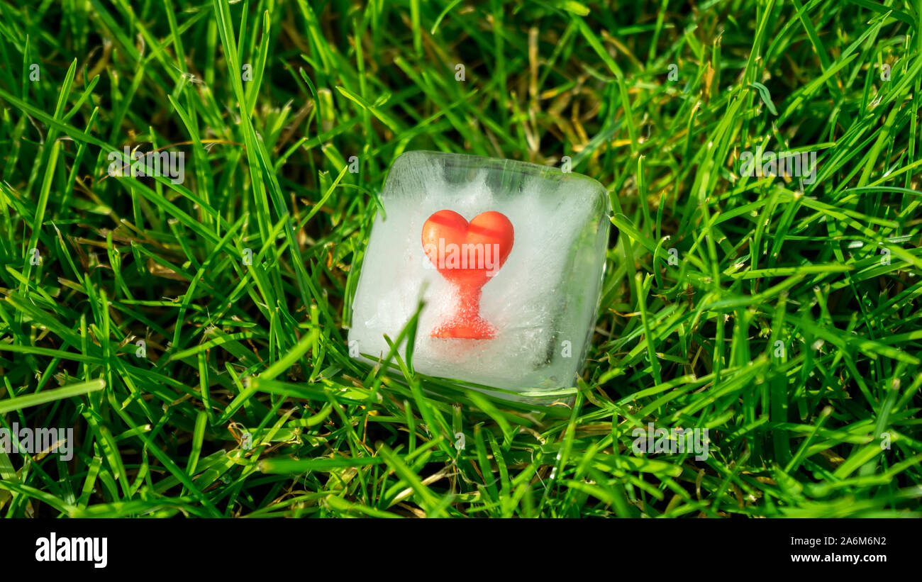 Red elastic rubber heart frozen in an ice cube melting in the sun Stock ...