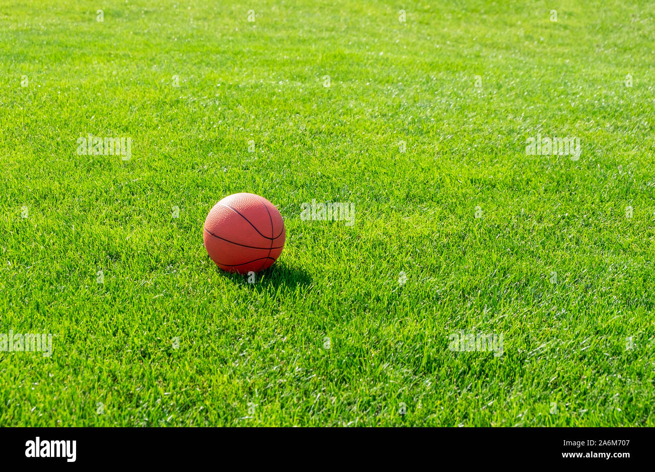 Basketball on the green grass Stock Photo - Alamy