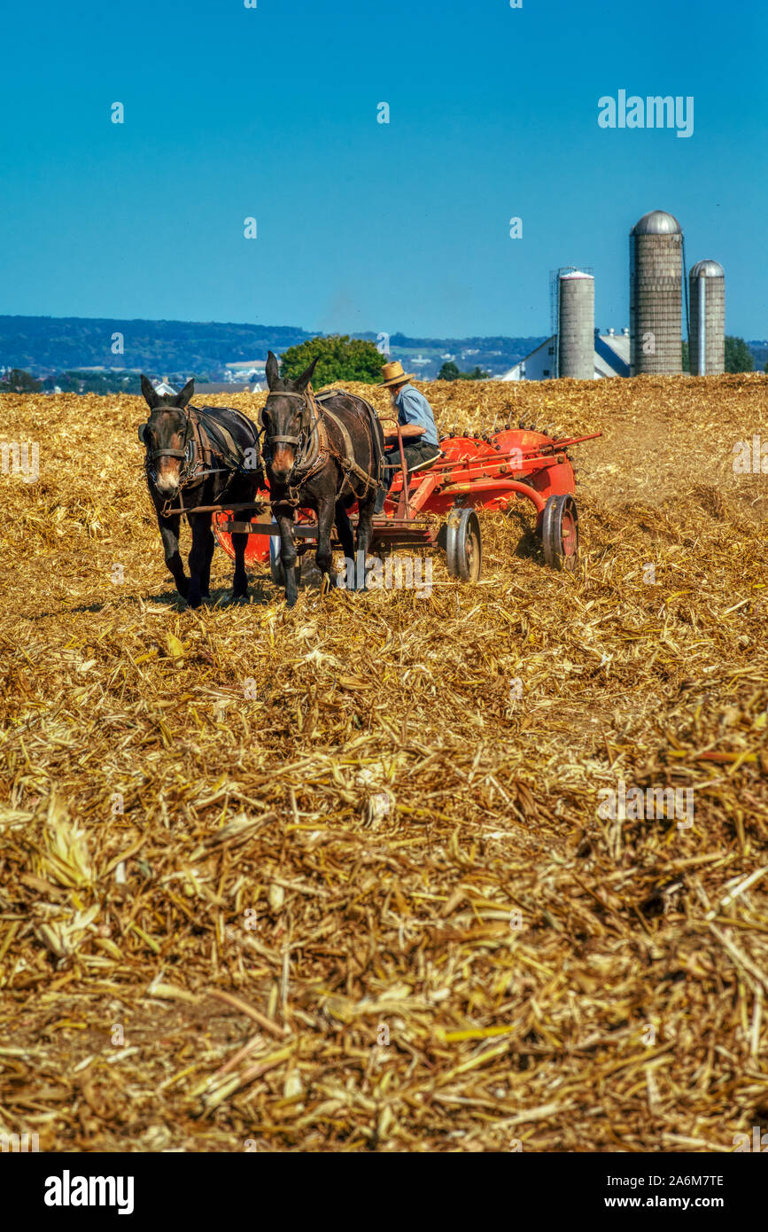 Amish farmers harvesting hay, Lancaster county Pennsylvania Stock Photo ...