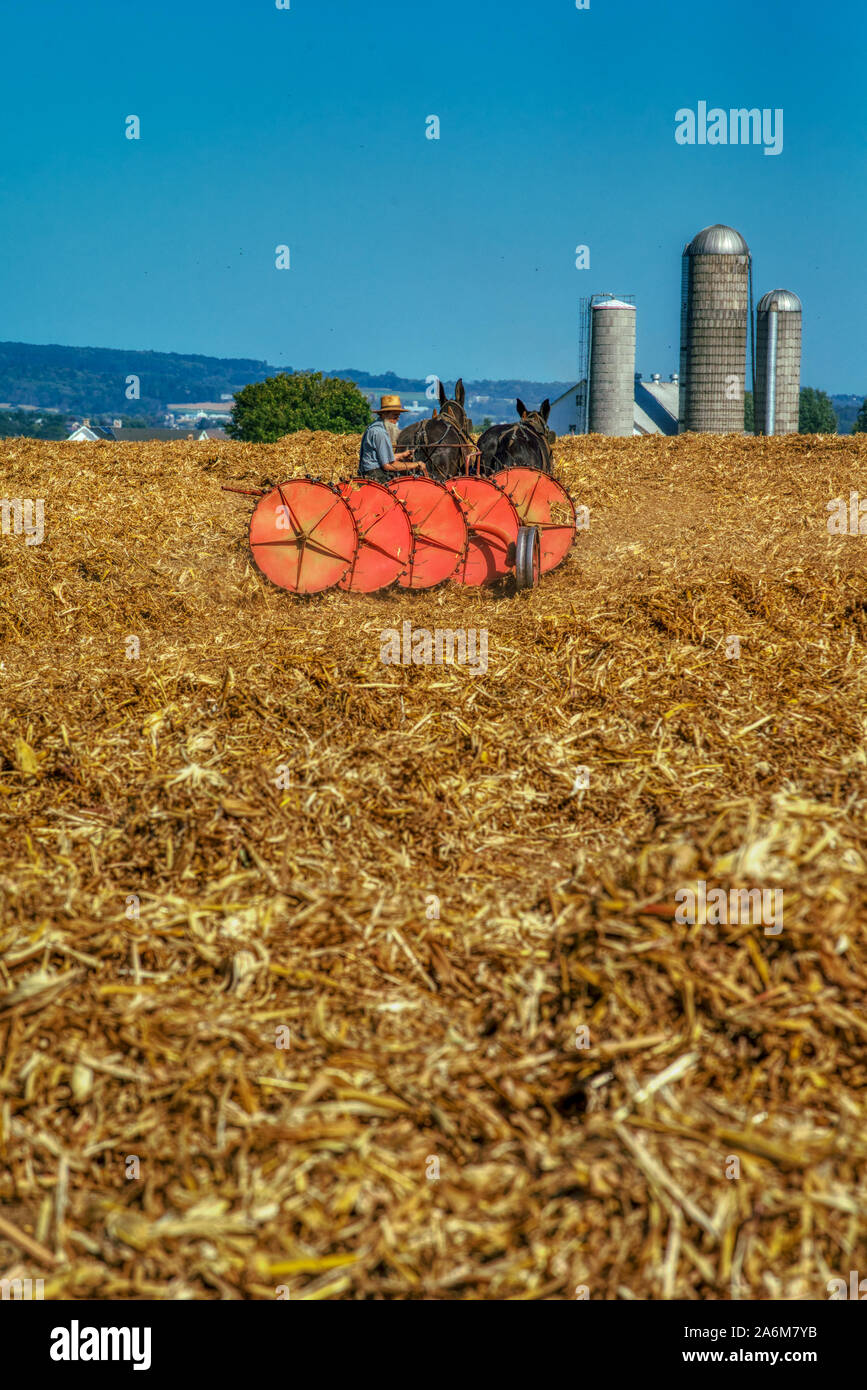 Amish farmers harvesting hay, Lancaster county Pennsylvania Stock Photo ...