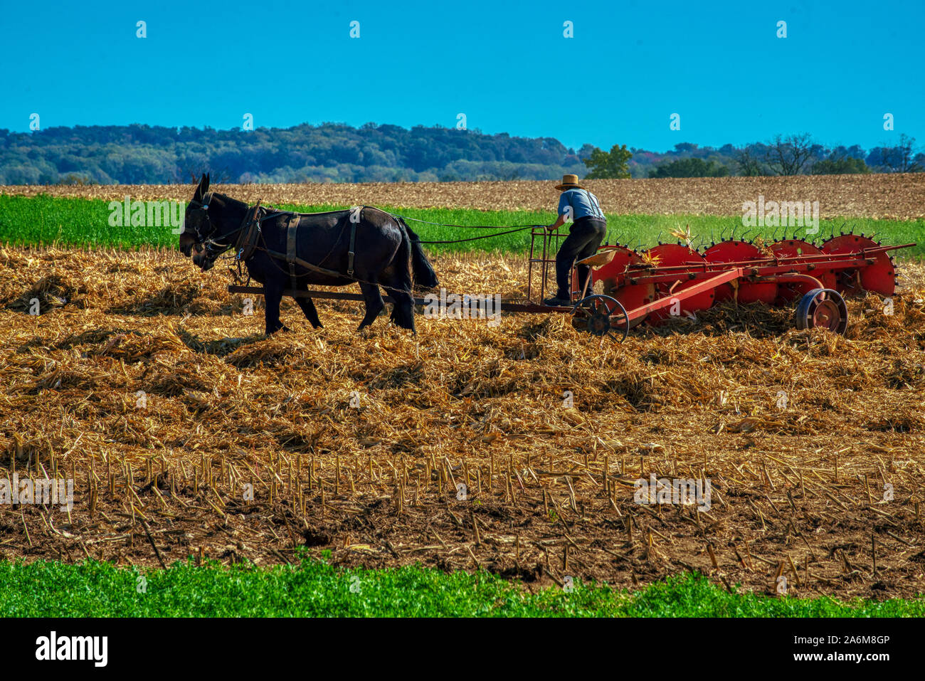 Amish farmers farm people hi-res stock photography and images - Alamy