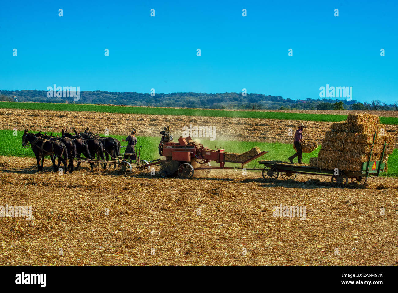Amish farmers harvesting hay, Lancaster county Pennsylvania Stock Photo ...