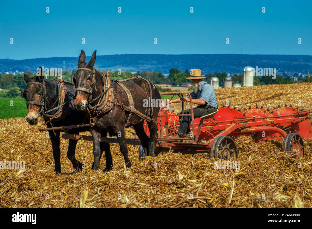 Amish farmers harvesting hay, Lancaster county Pennsylvania Stock Photo ...