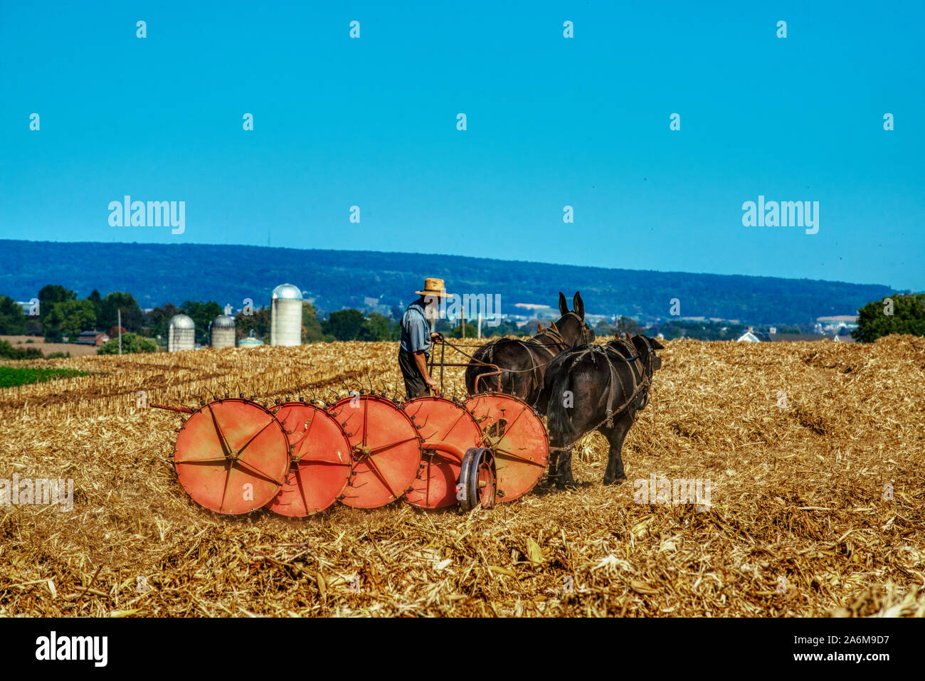 Amish farmers harvesting hay, Lancaster county Pennsylvania Stock Photo ...