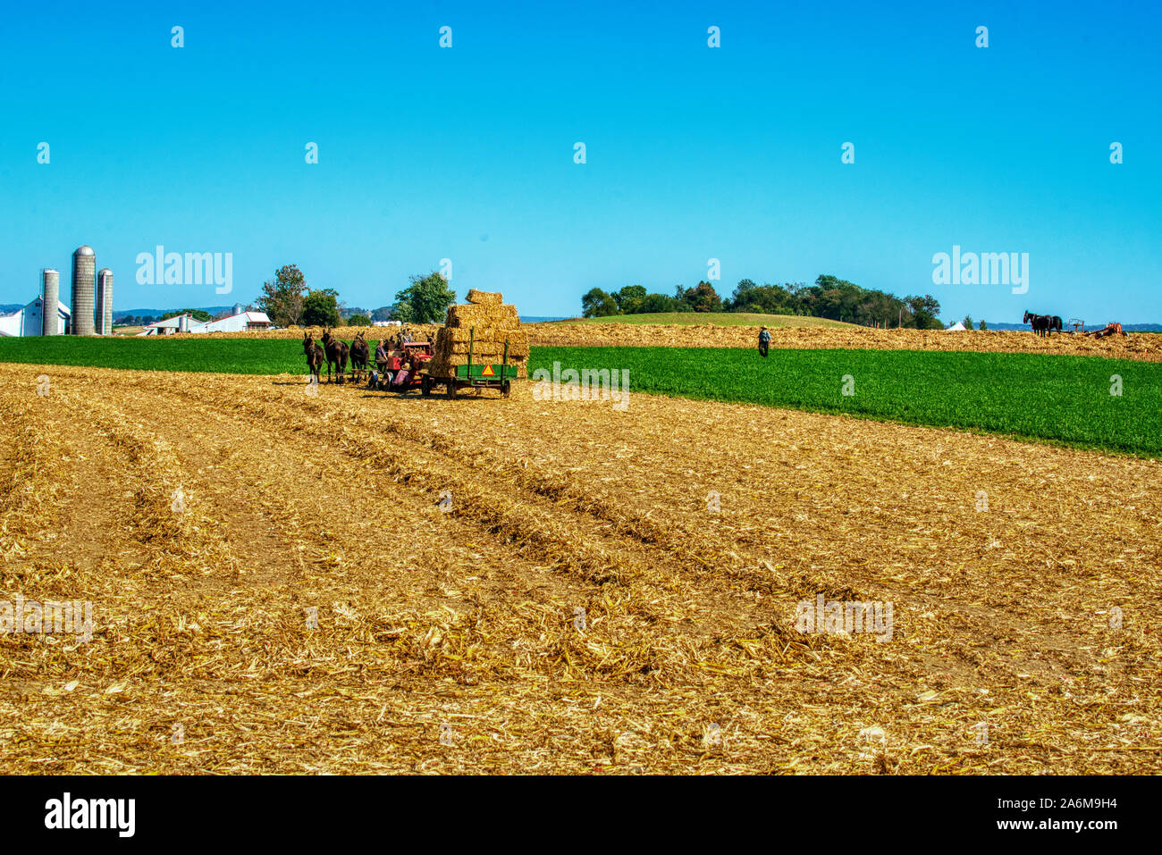 Amish farmers harvesting hay, Lancaster county Pennsylvania Stock Photo ...