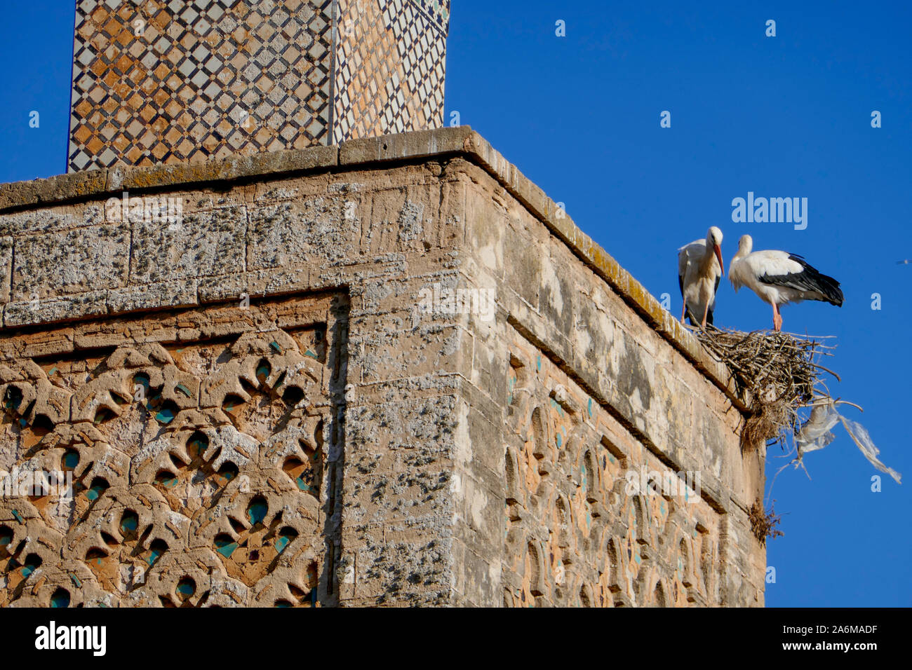 storks at old tower at Chellah in Rabat, Morocco Stock Photo - Alamy