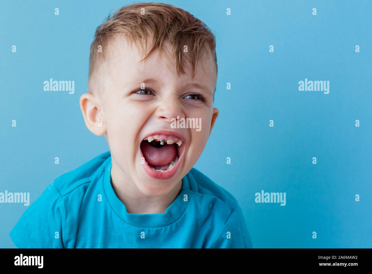 Sharp incisors hi-res stock photography and images - Alamy