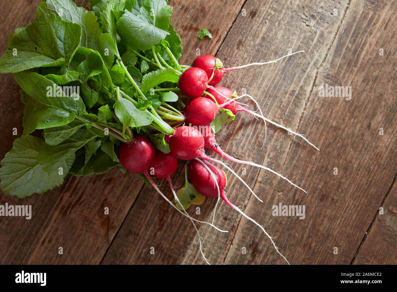 Cherry radish hi-res stock photography and images - Alamy