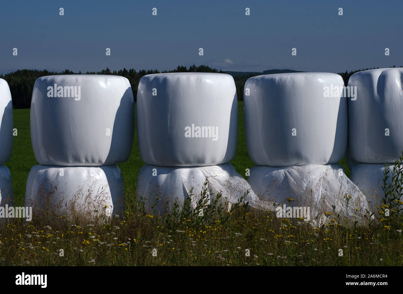 Fermenting silage hi-res stock photography and images - Alamy