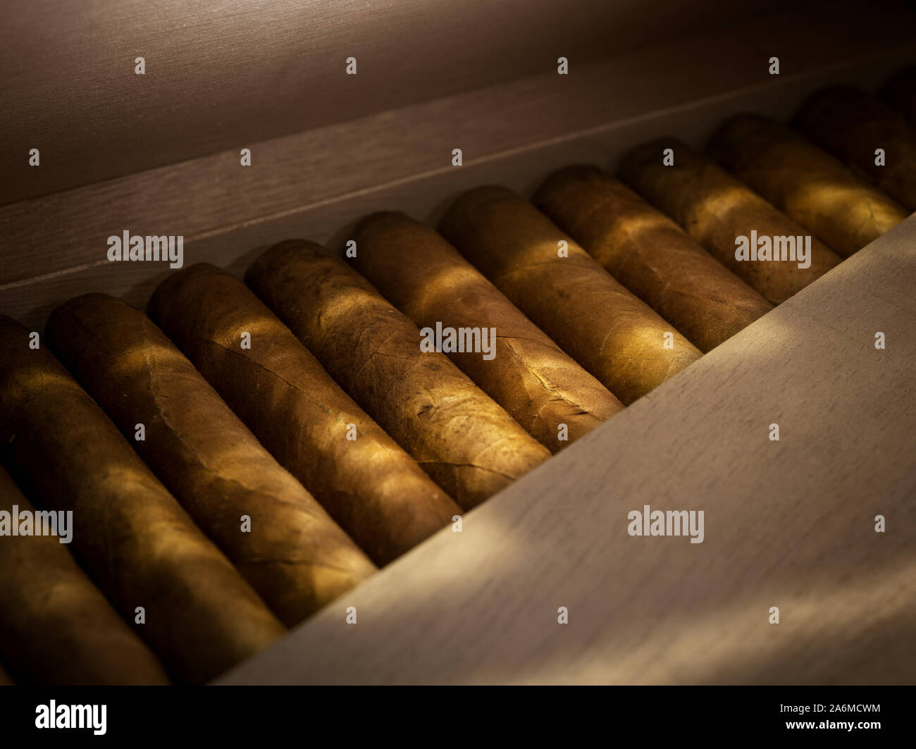box of cigars Stock Photo - Alamy