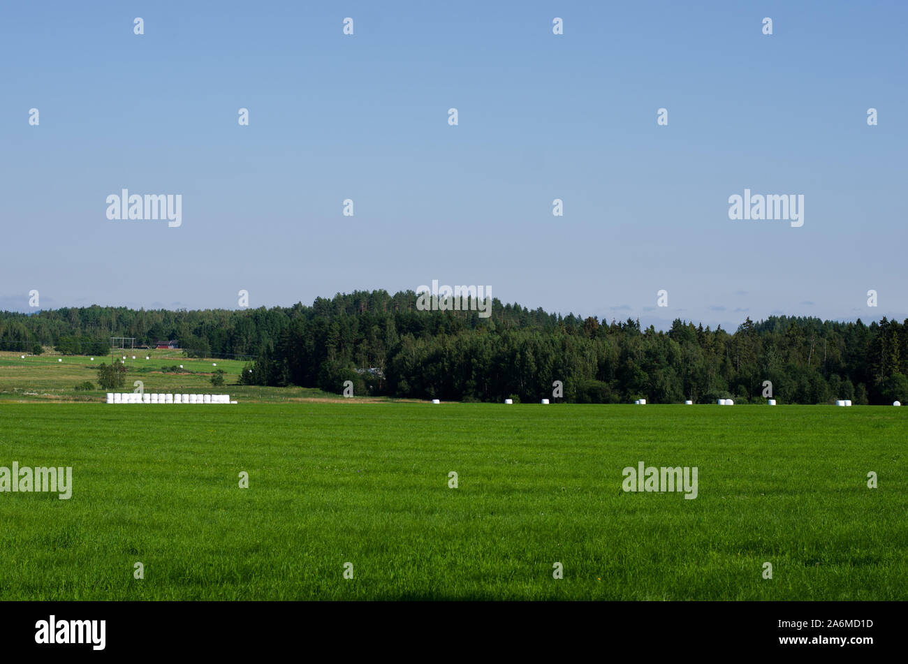 Fermenting silage hi-res stock photography and images - Alamy