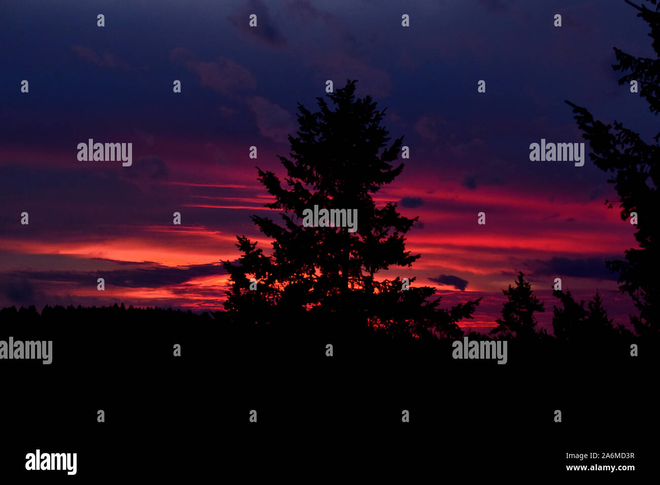 Stunning deep purple sunset Stock Photo - Alamy