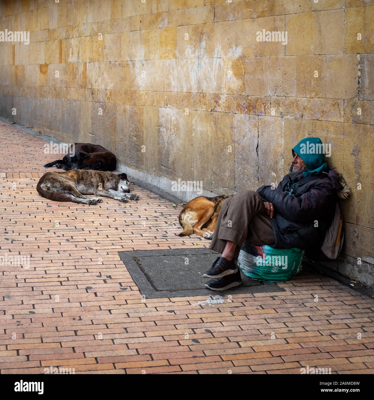 Homeless man with dog hi-res stock photography and images - Alamy