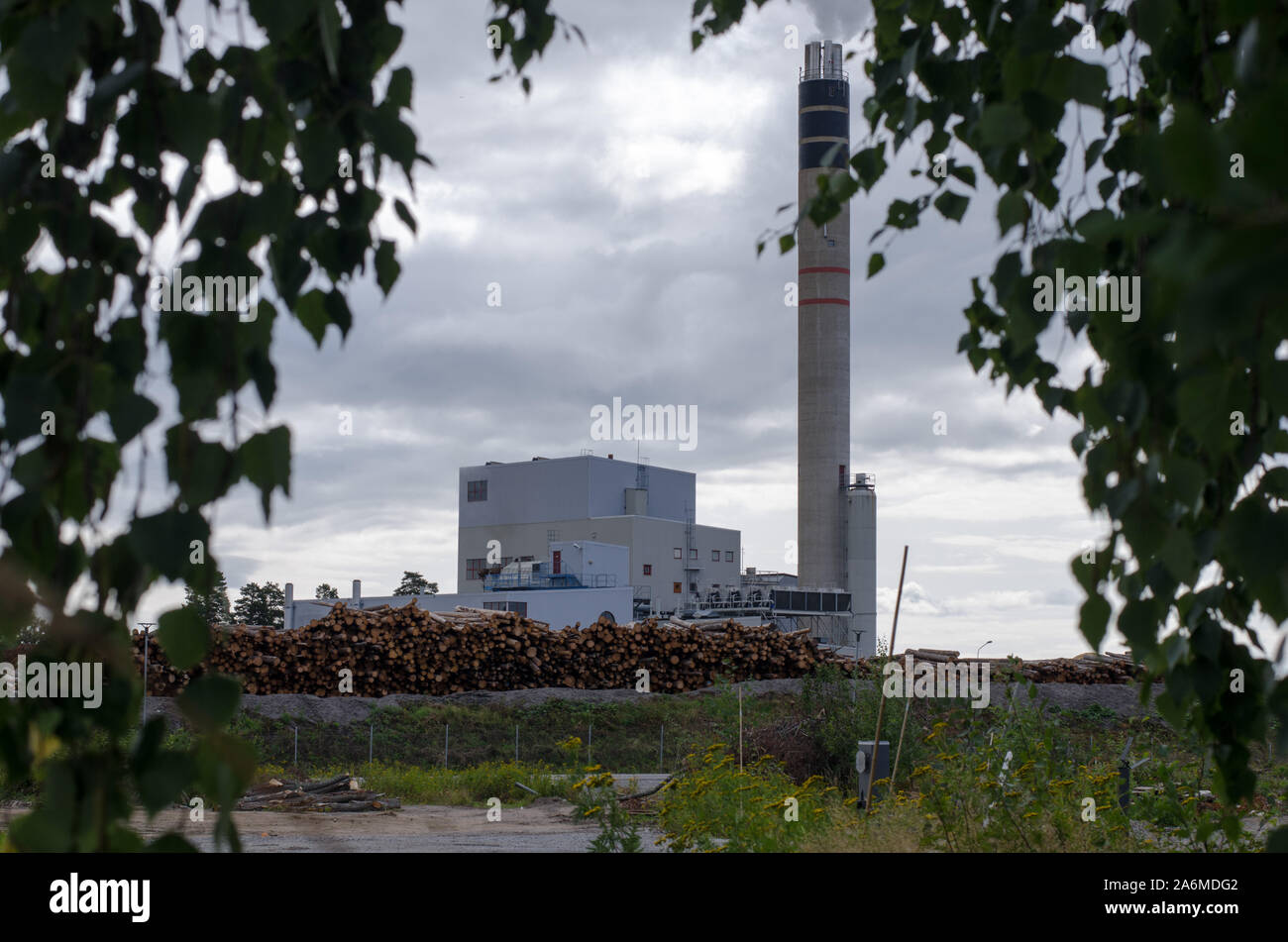 Timber factory hi-res stock photography and images - Alamy