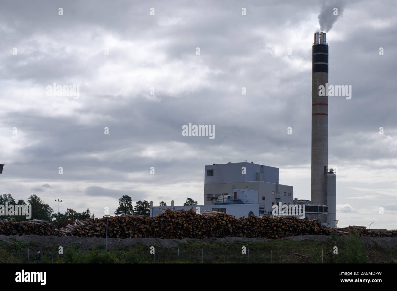 Timber factory hi-res stock photography and images - Alamy