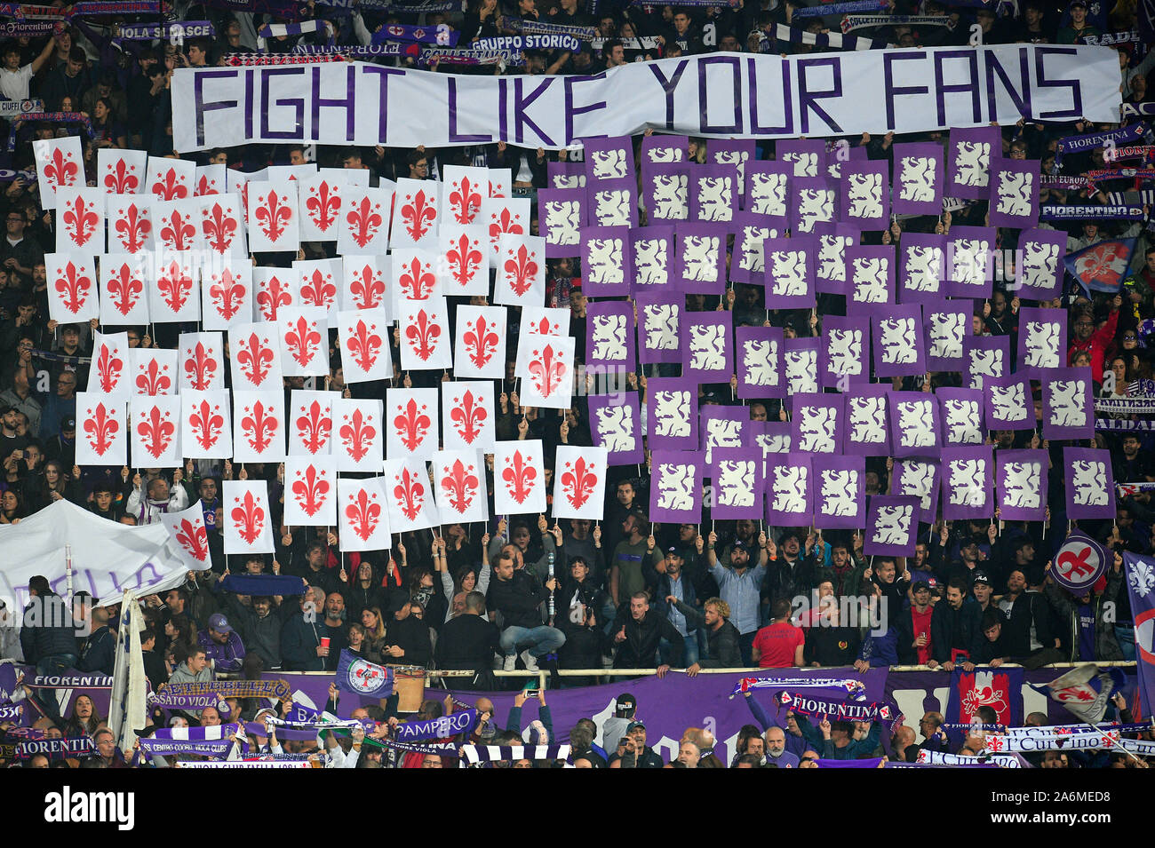 Matteo papini hi-res stock photography and images - Alamy