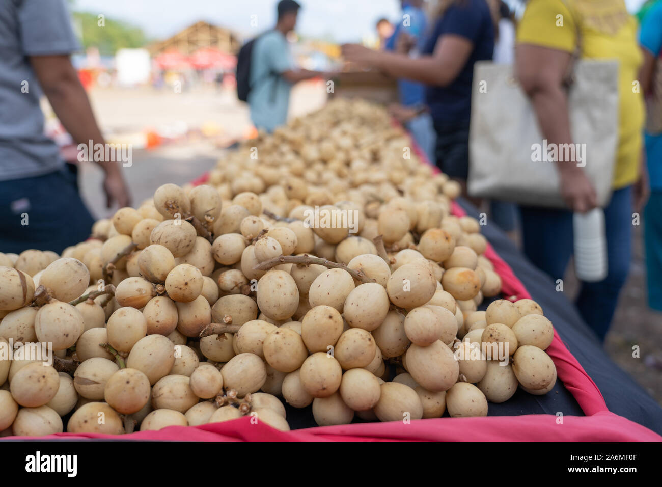 A long line of lanzones fruit placed on a table for the general public ...