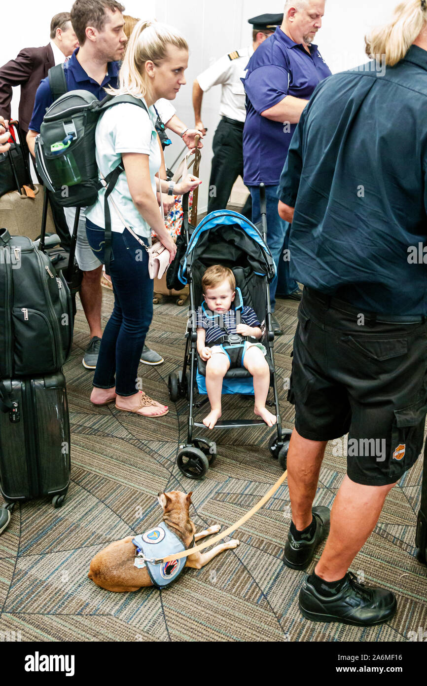 Fort Ft. Lauderdale Florida,Fort Lauderdale-Hollywood International ...