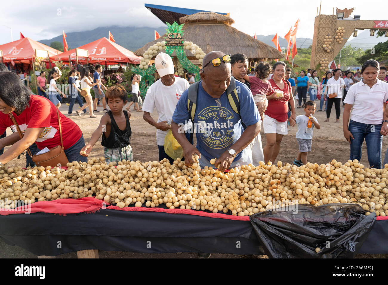 A long line of lanzones fruit placed on a table for the general public ...