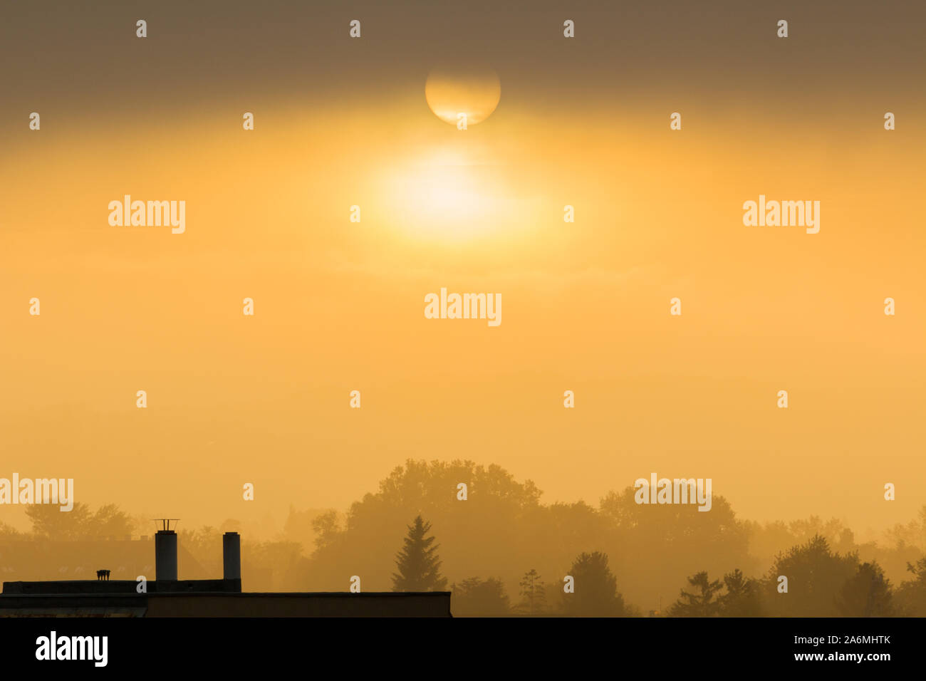 Trees in silhouette through the mist and sun hi-res stock photography ...