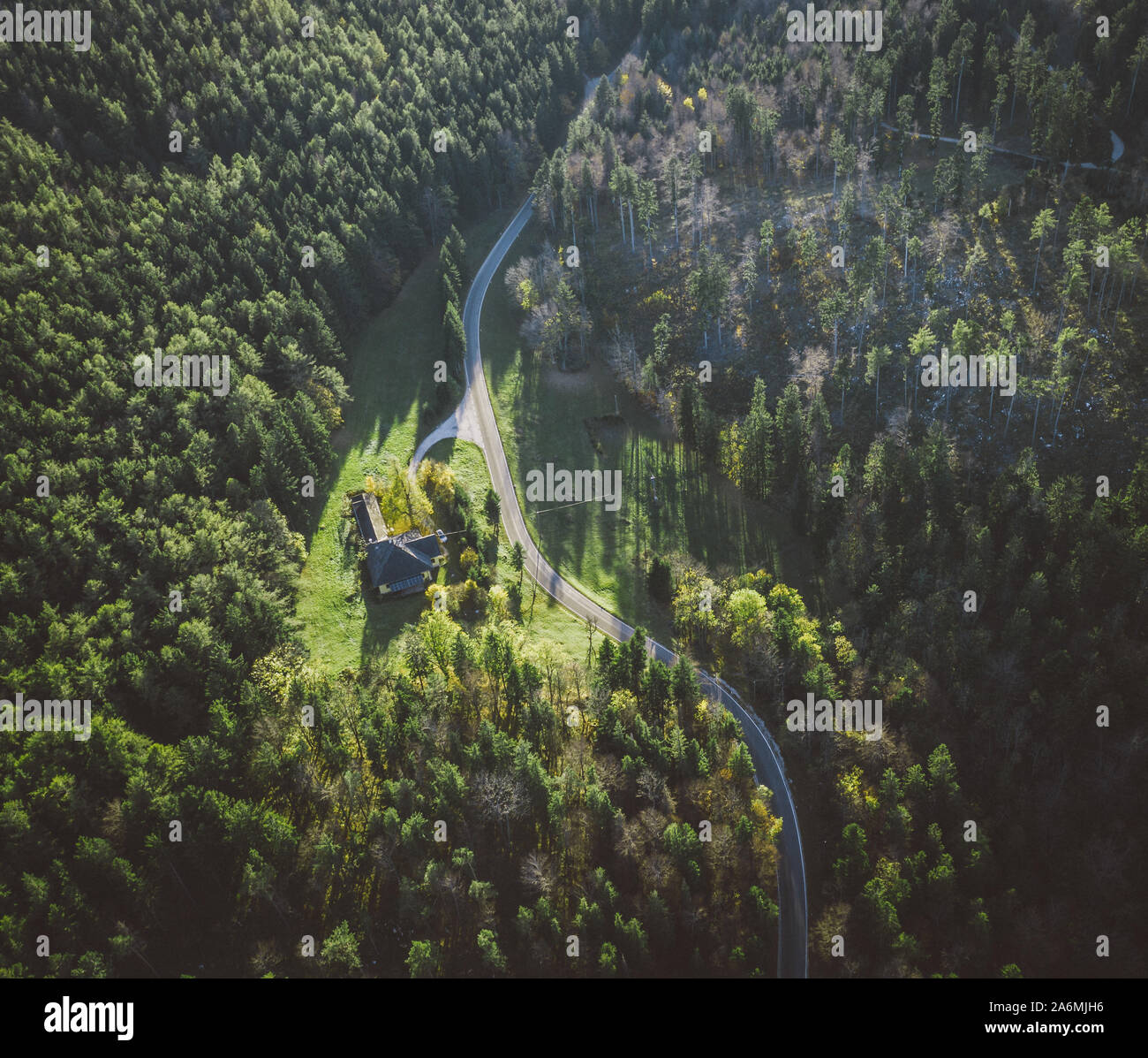 house in the forest, view from the drone Stock Photo - Alamy