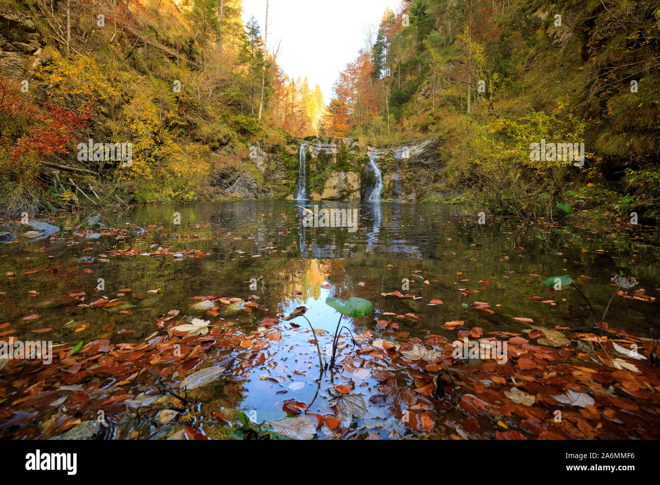 A beautiful wild waterfall flowing into a pool during autumn Stock ...