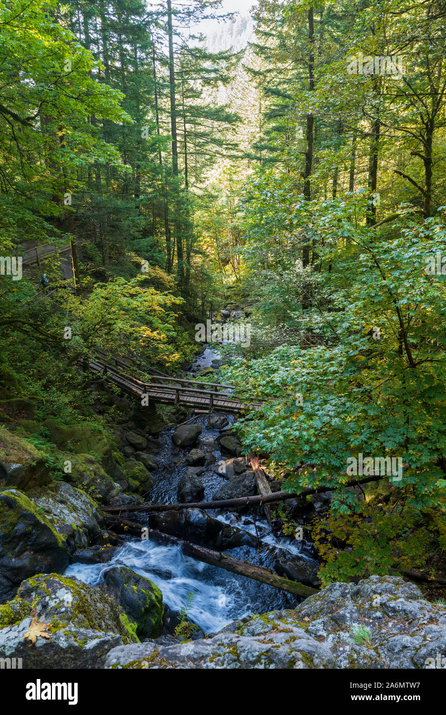 A footbridge crosses Hardy Creek from Rodney Falls in Beacon Rock State ...