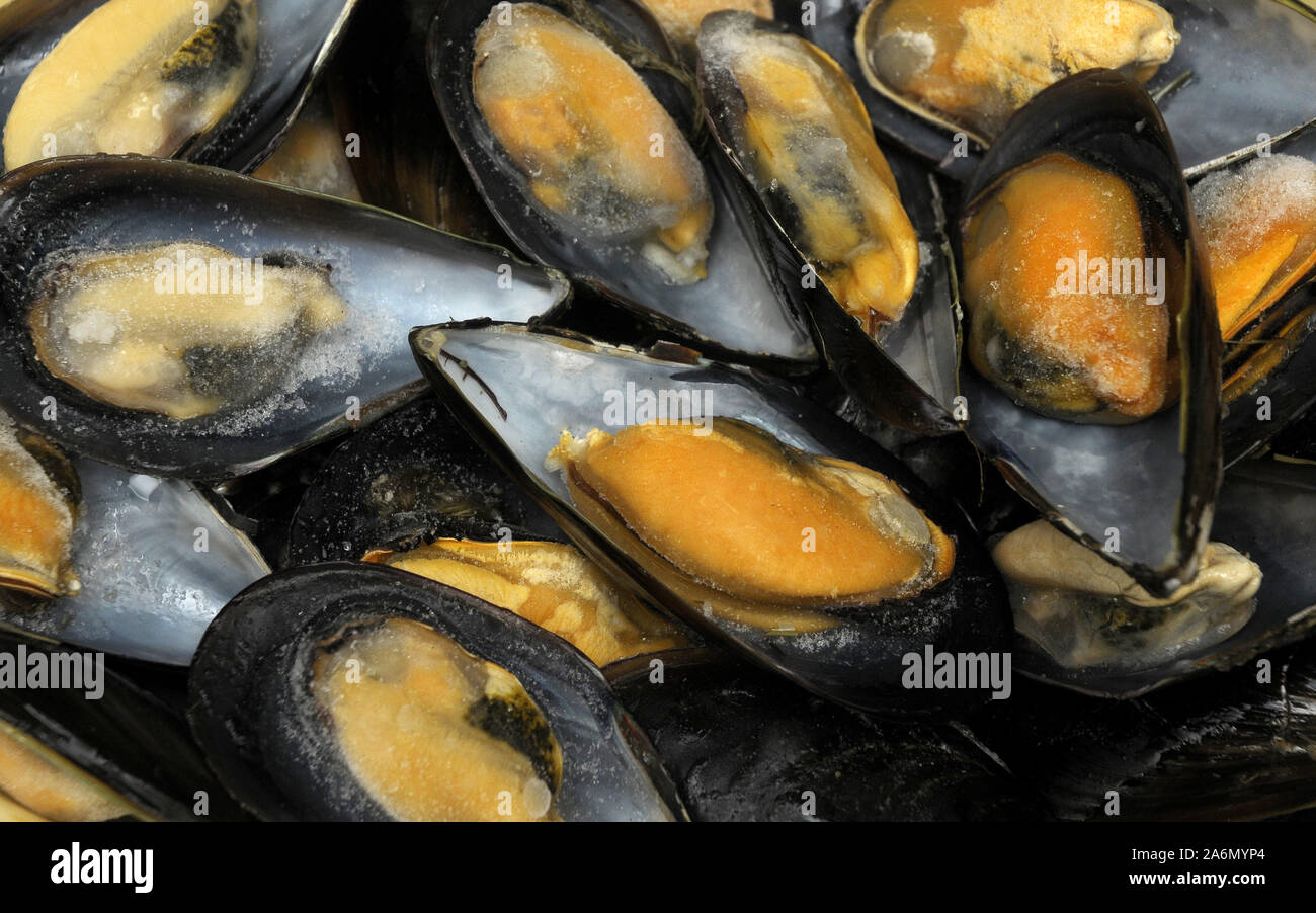 Cooked Mussels In Black Shells High Resolution Stock Photography and ...