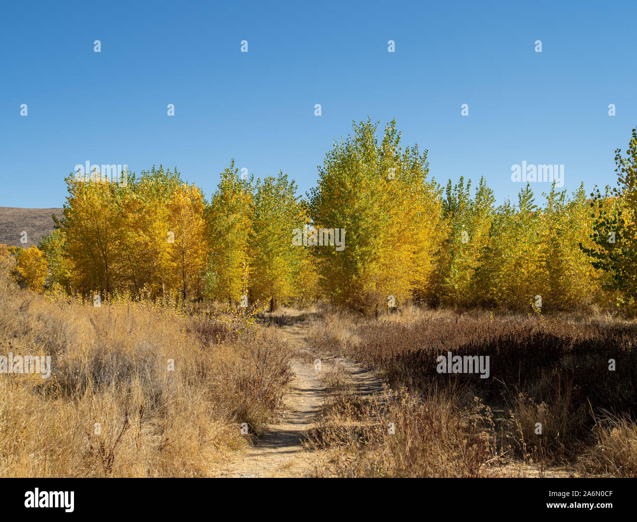 Dirt colored hi-res stock photography and images - Alamy