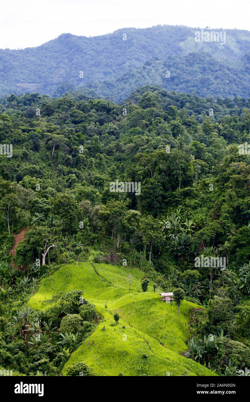 Jhum cultivation hi-res stock photography and images - Alamy