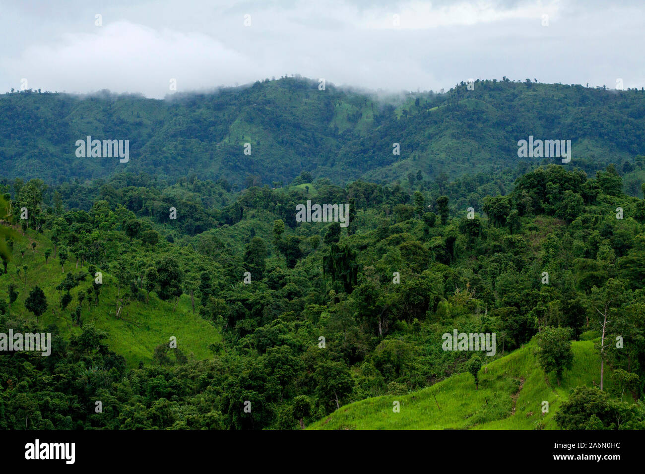 Jhum cultivation hi-res stock photography and images - Alamy