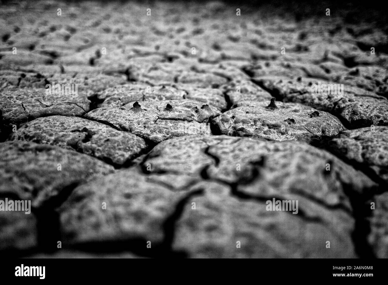 Soil salinity asia hi-res stock photography and images - Alamy