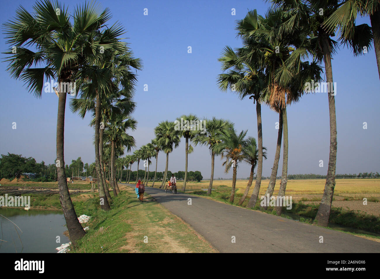 Bangladesh rickshaw village hi-res stock photography and images - Alamy