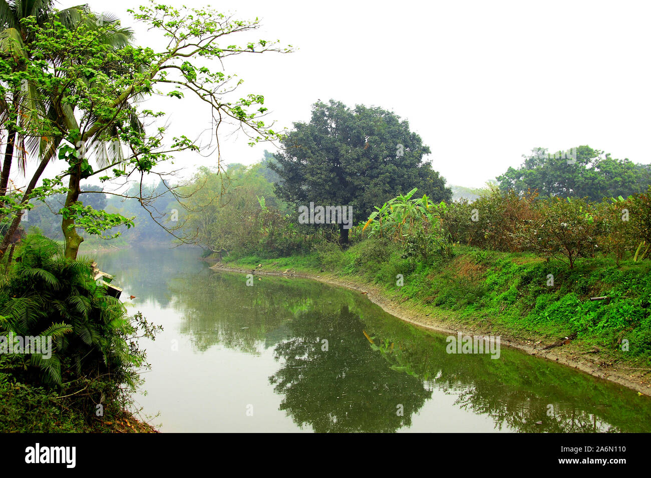 Snakes of bangladesh hi-res stock photography and images - Alamy