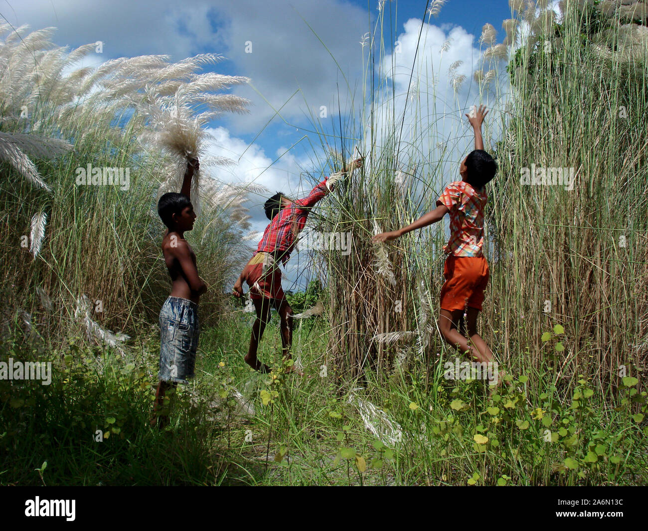 Children playing in a catkin grove locally known as Kashbon, on the ...