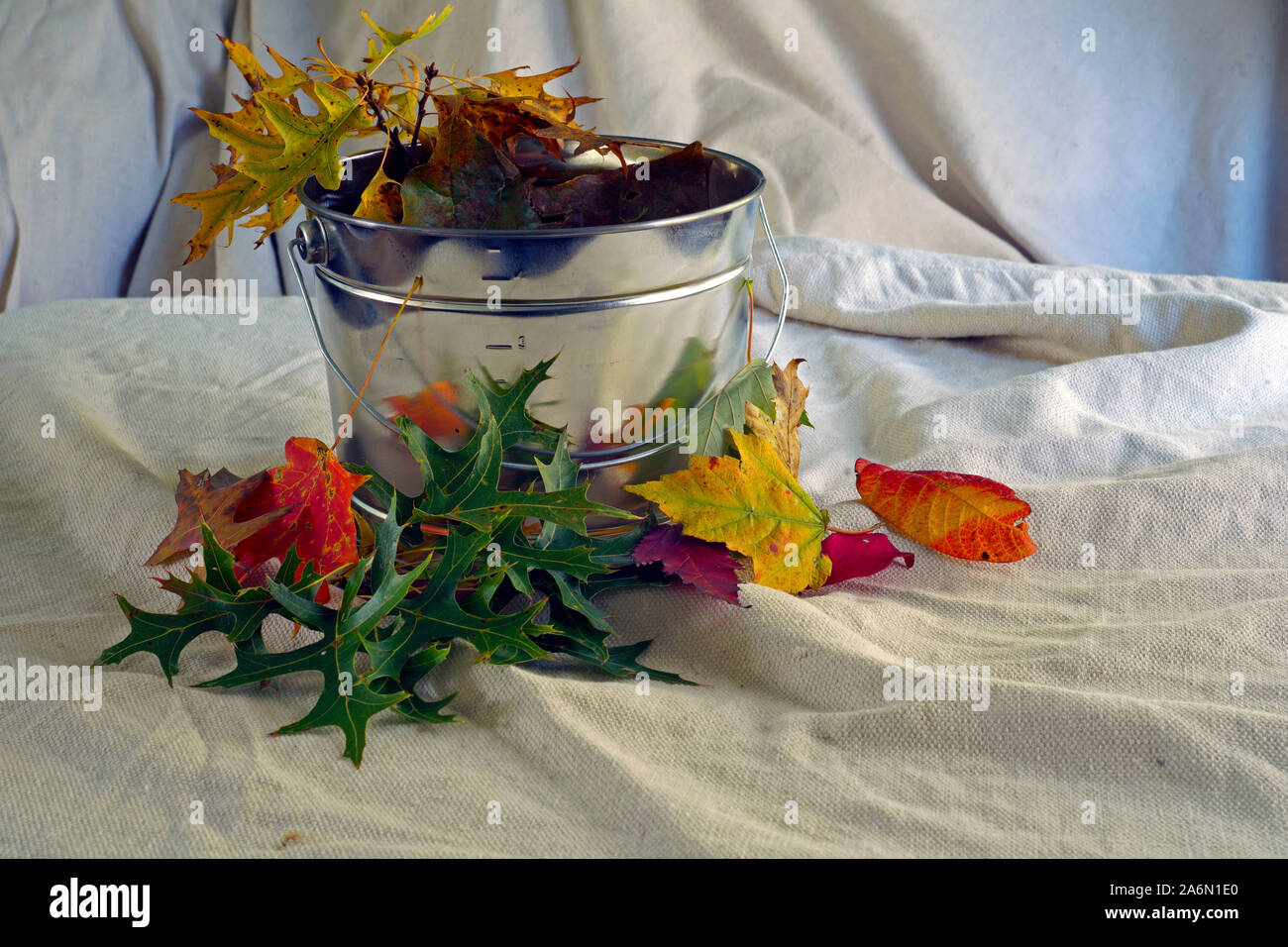 Autumn Leaves in a tin bucket with a white background Stock Photo - Alamy