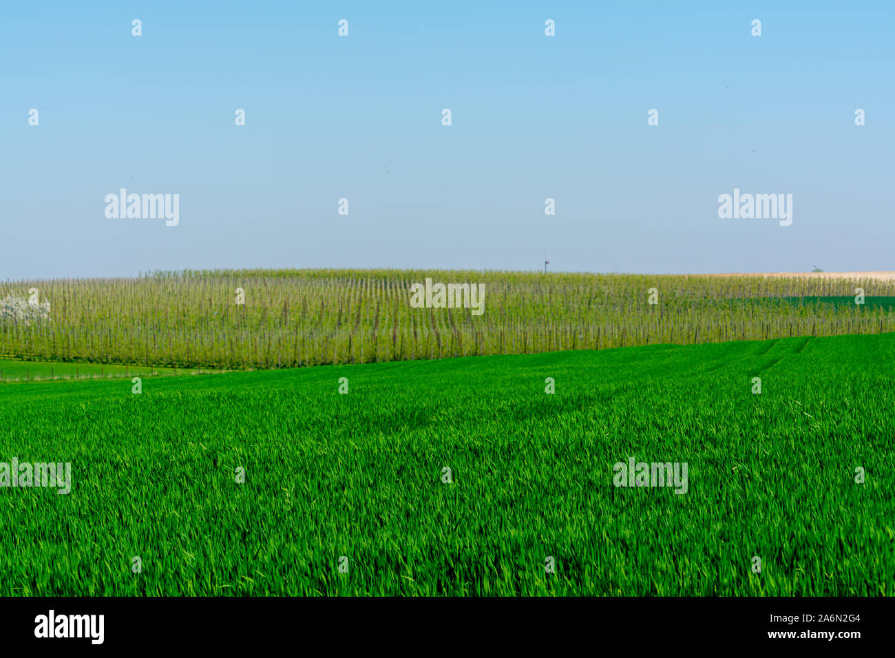 Spring landscape with farmers plowed fields, green grass, fruit trees ...