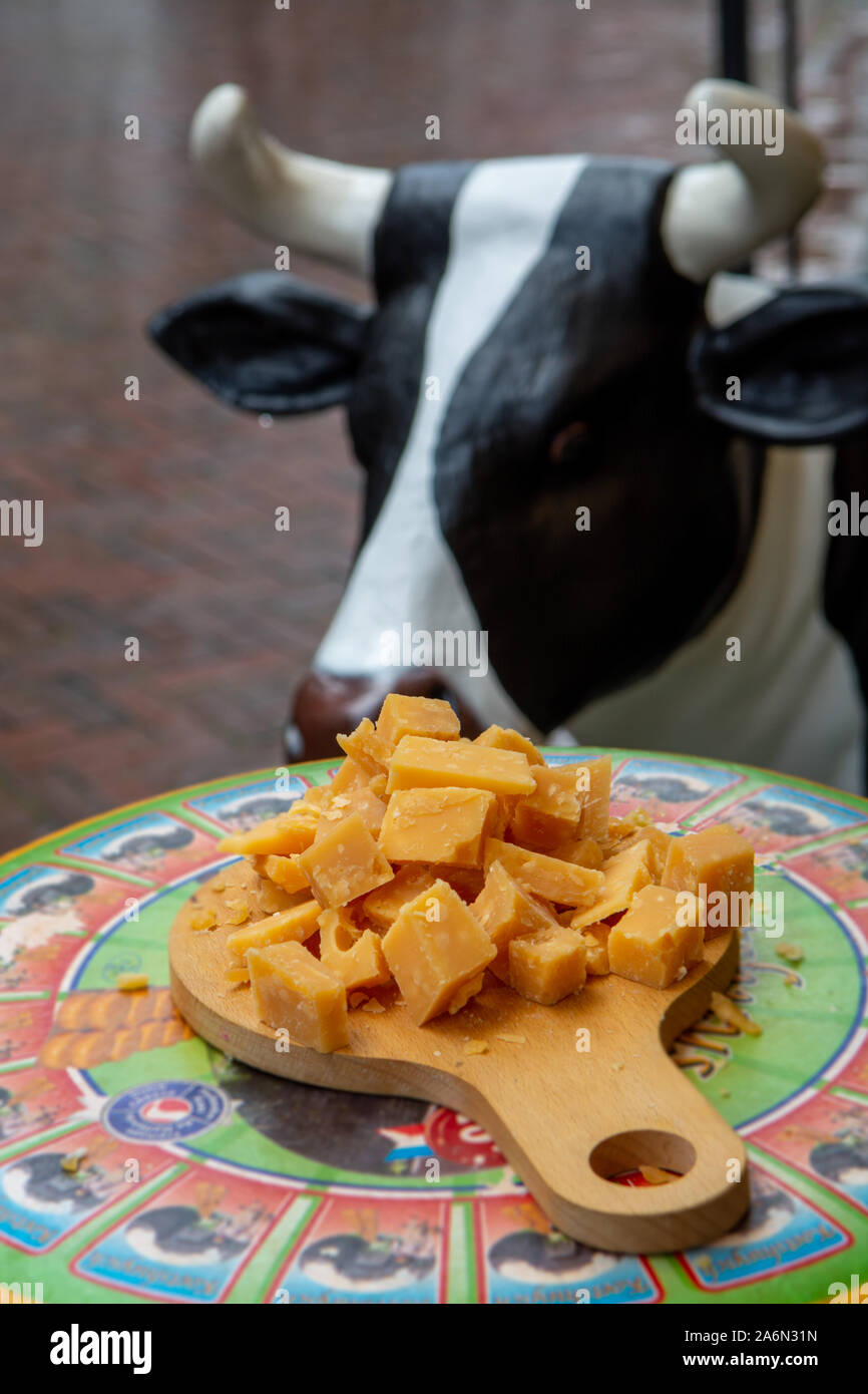 Tasting of old Dutch organic cheese in blocks outside of cheese shop ...