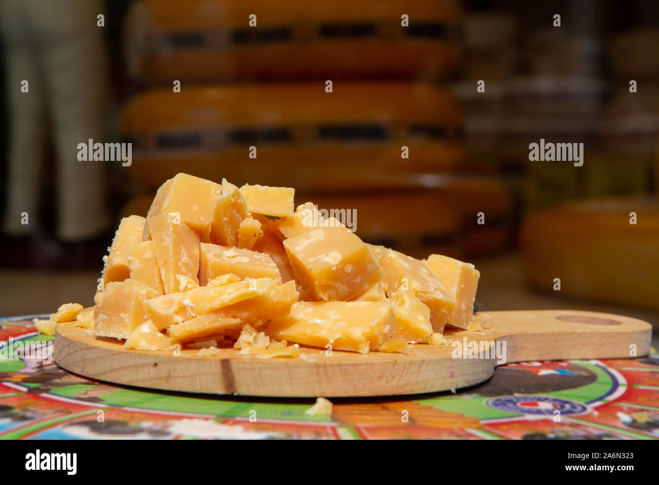 Tasting of old Dutch organic yellow cheese in blocks outside of cheese ...