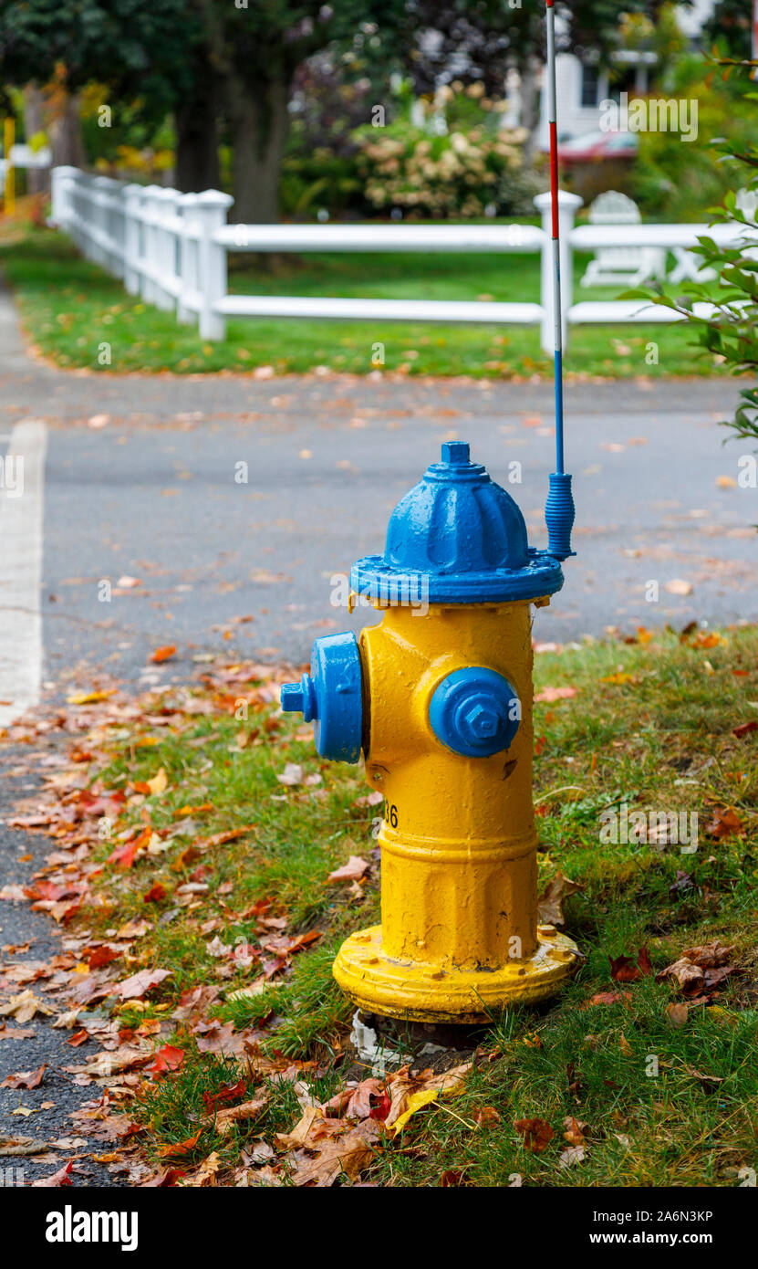 Blue and yellow fire hydrant on the roadside in Kennebunkport, Maine ...