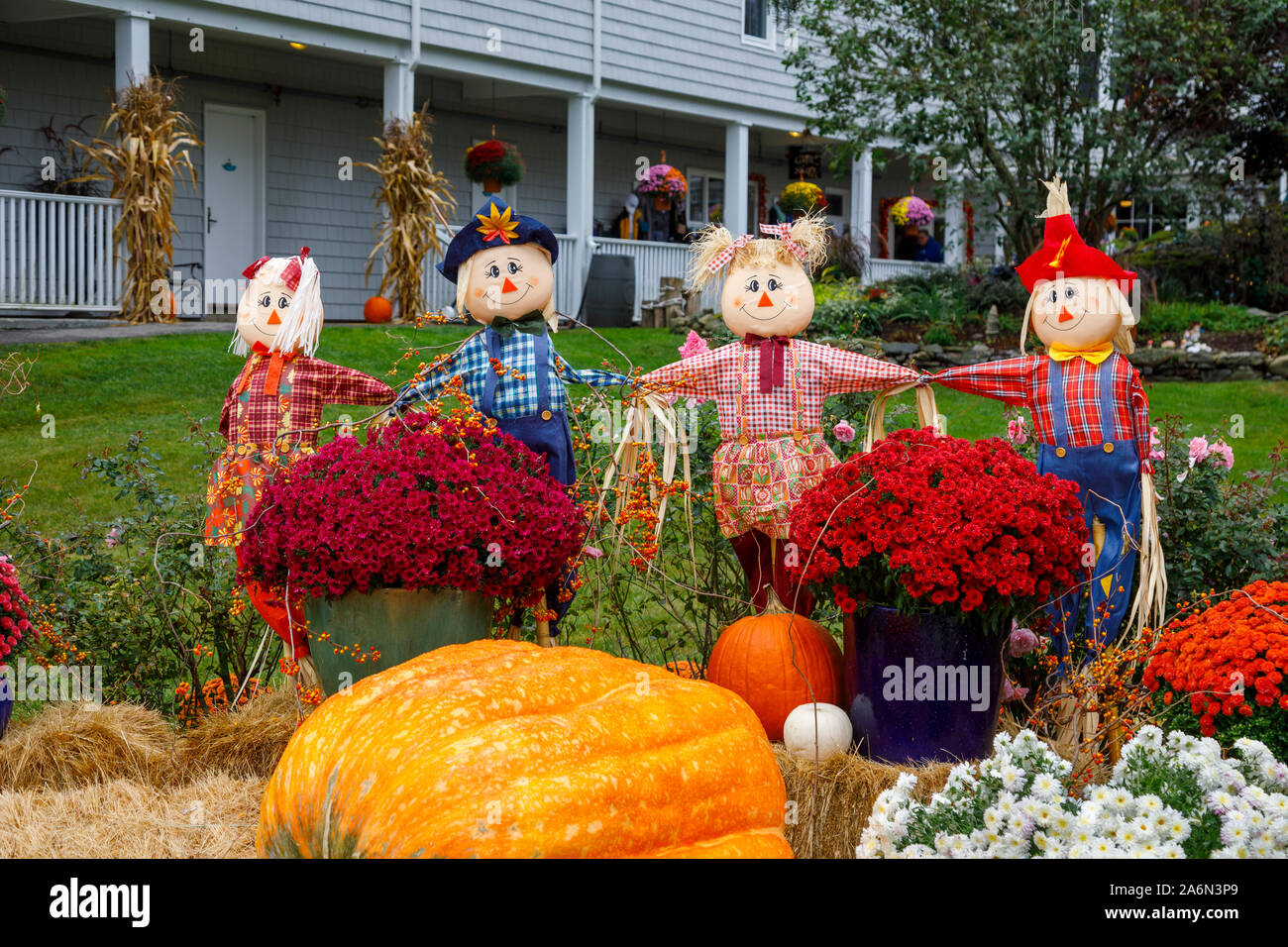 Colourful roadside seasonal pre-Halloween display of a large pumpkin ...