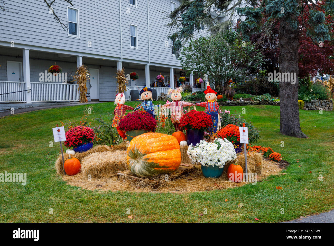 Colourful roadside seasonal pre-Halloween display of a large pumpkin ...