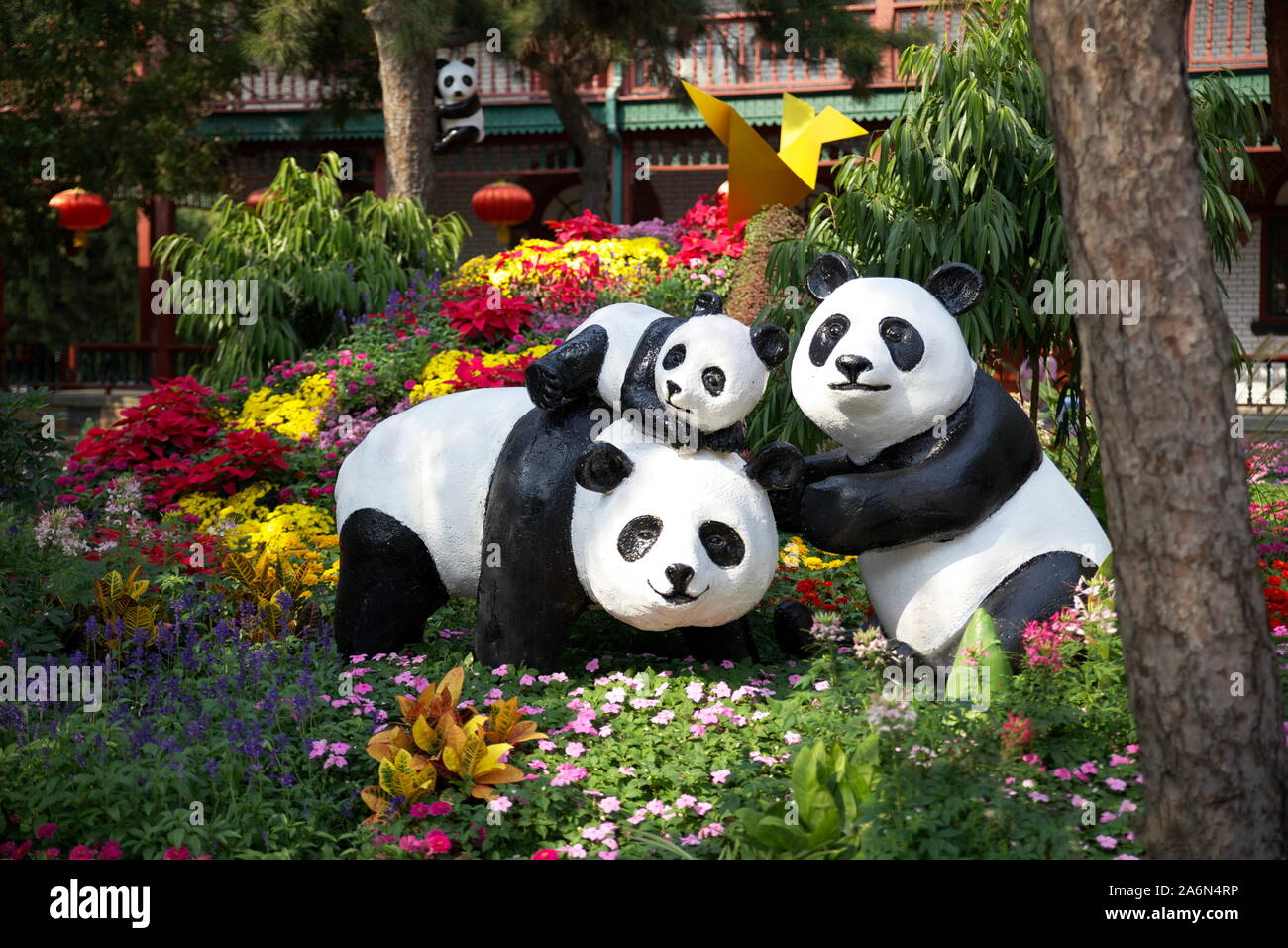 Panda Break Time To Picture Stock Photo - Alamy