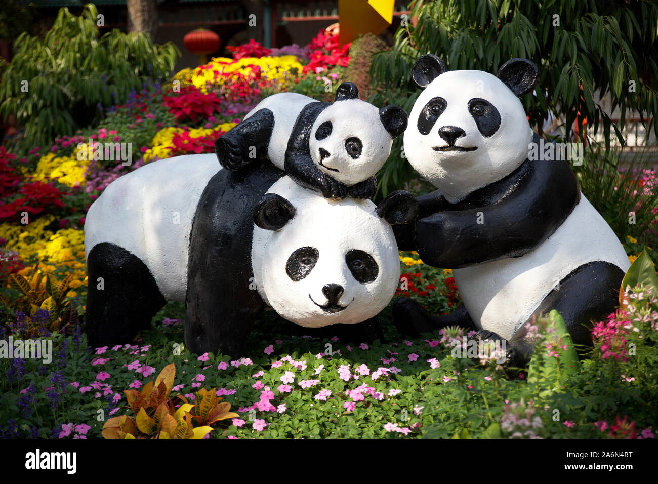 Panda Break Time To Picture Stock Photo - Alamy